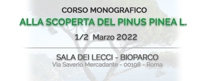 Corso Monografico Pinus Pinea, Sala Quaroni EUR 1/2 Marzo 2022